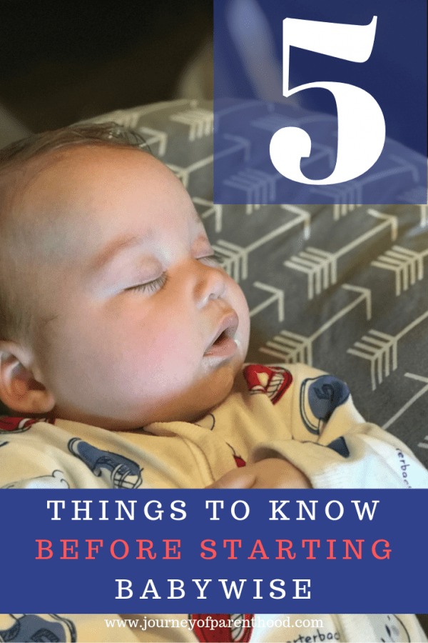 5 Things To Know Before Starting Babywise - The Journey of Parenthood...
