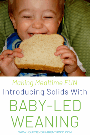 The Best Baby Led Weaning Book: A Simple Guide to Baby Led Weaning