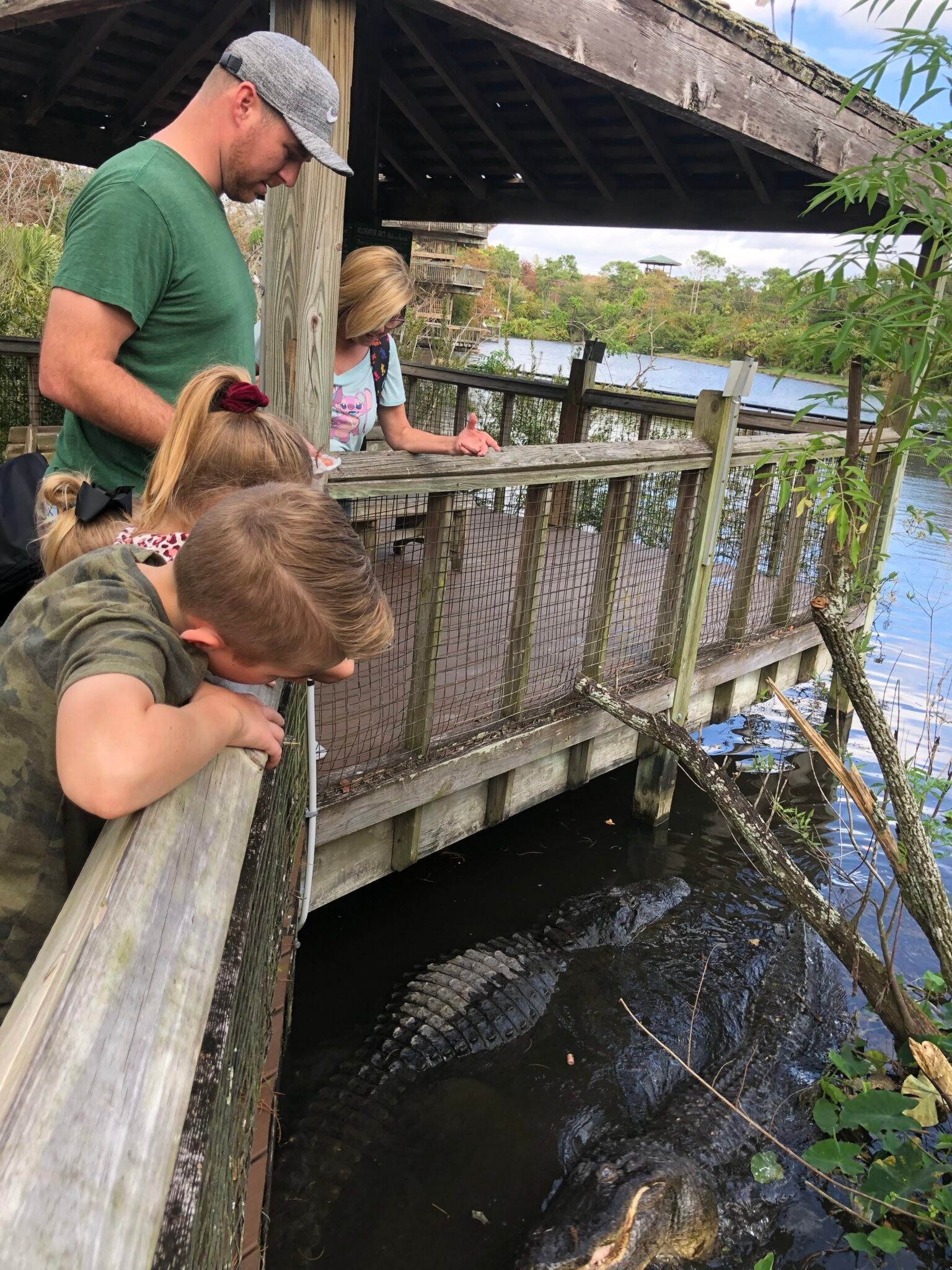 Visiting Gatorland in Orlando, Florida - Ziplining at Gatorland