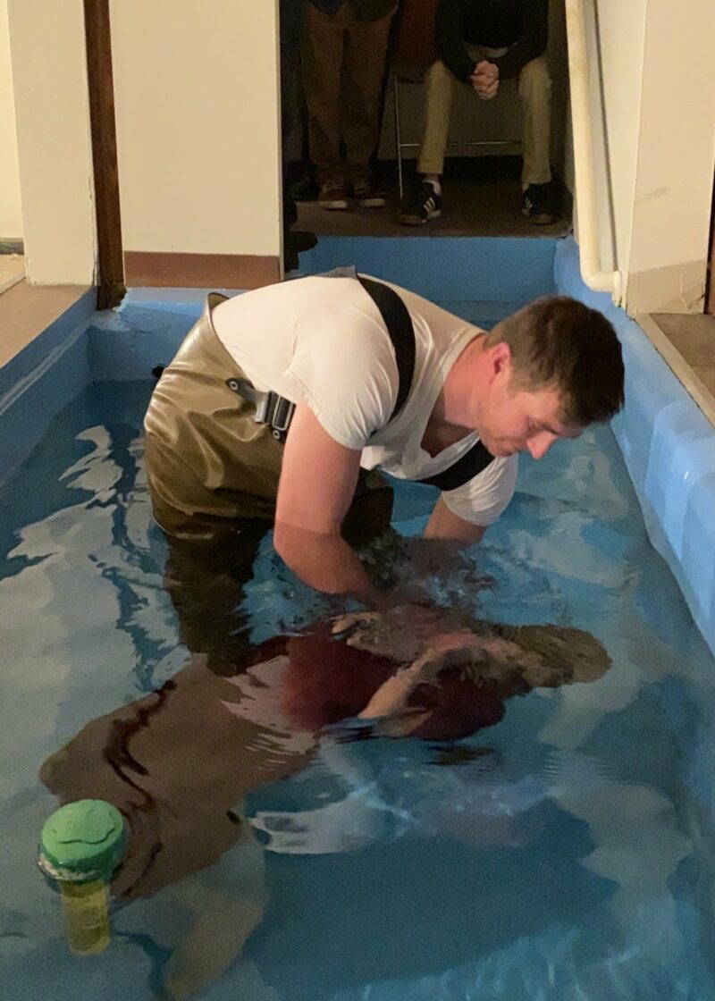 Is My Child Ready for Baptism? When Your Child Asks to Be Baptized