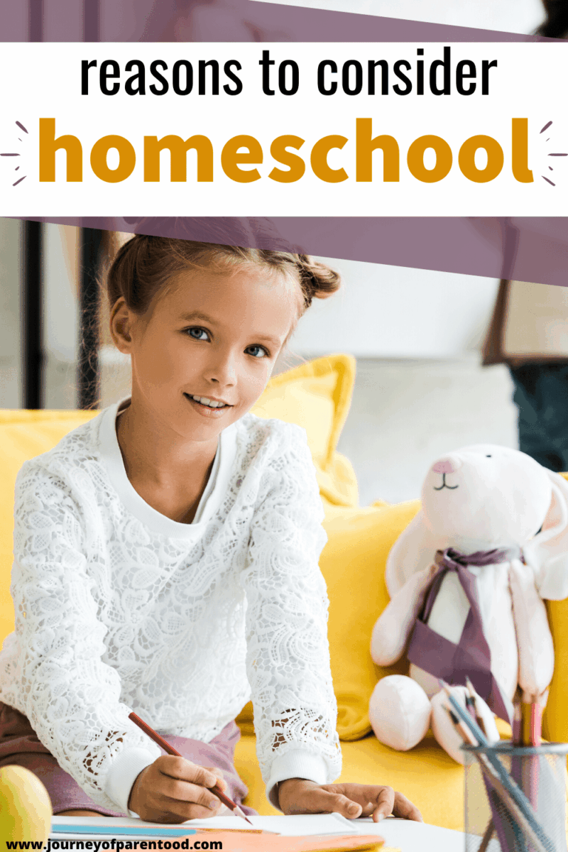 10 Reasons to Homeschool Your Kids : Should I Homeschool My Children?