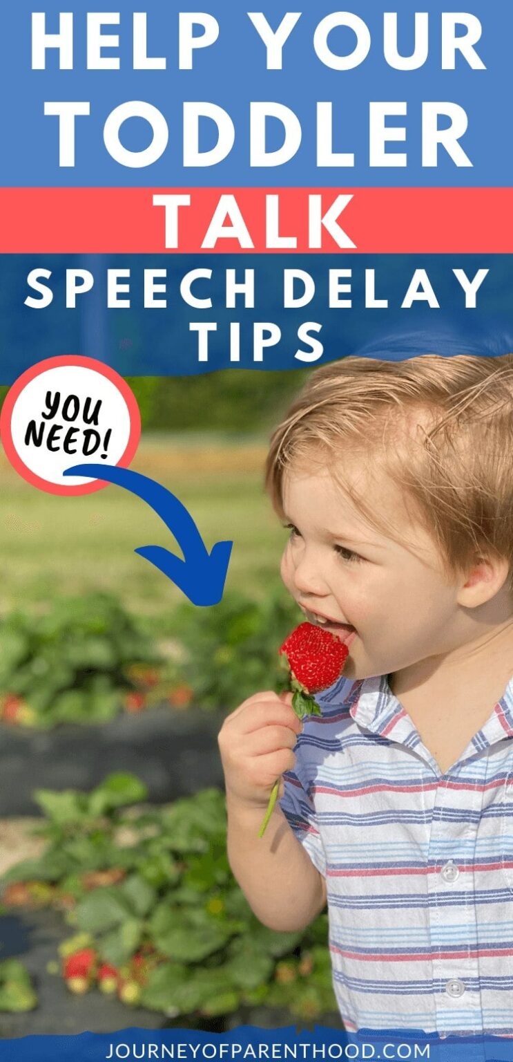 Tips for a Speech Delayed Toddler: Activities from Speech Therapy