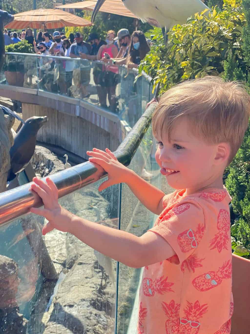 Tips for Visiting SeaWorld Orlando - SeaWorld Travel Guide