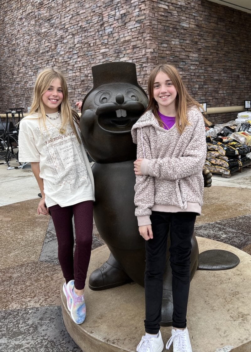 How the Grinch Stole Christmas The Musical: What to Expect