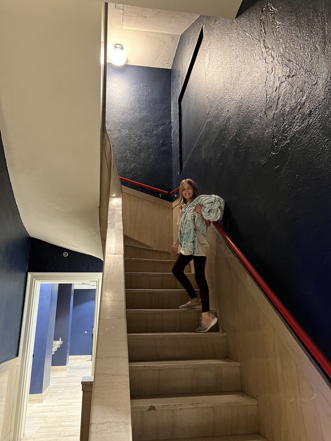 How the Grinch Stole Christmas The Musical: What to Expect