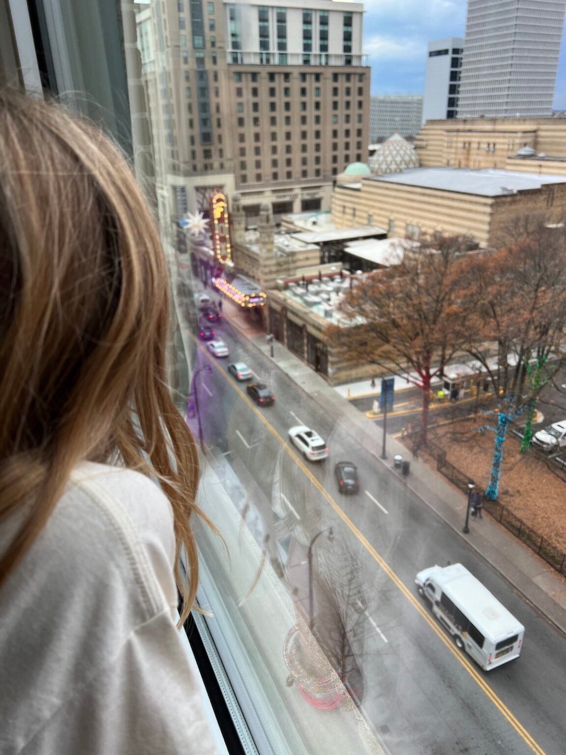 How the Grinch Stole Christmas The Musical: What to Expect