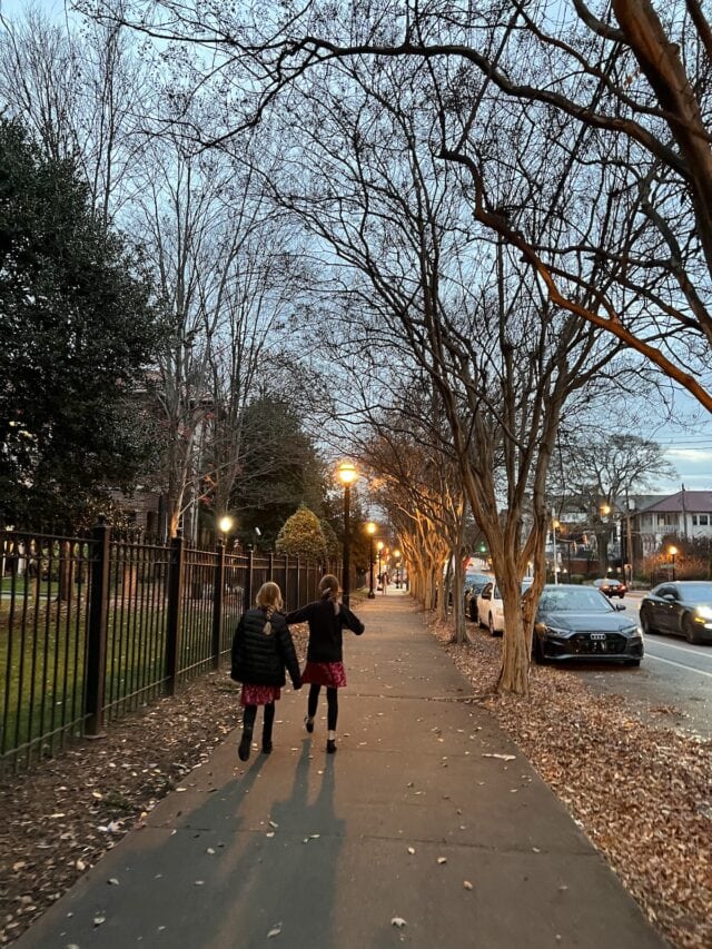 How the Grinch Stole Christmas The Musical: What to Expect