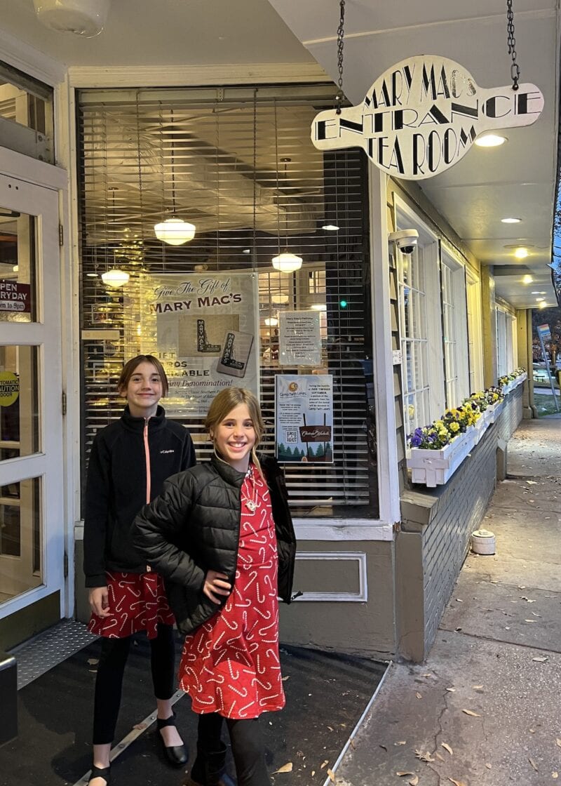 How the Grinch Stole Christmas The Musical: What to Expect