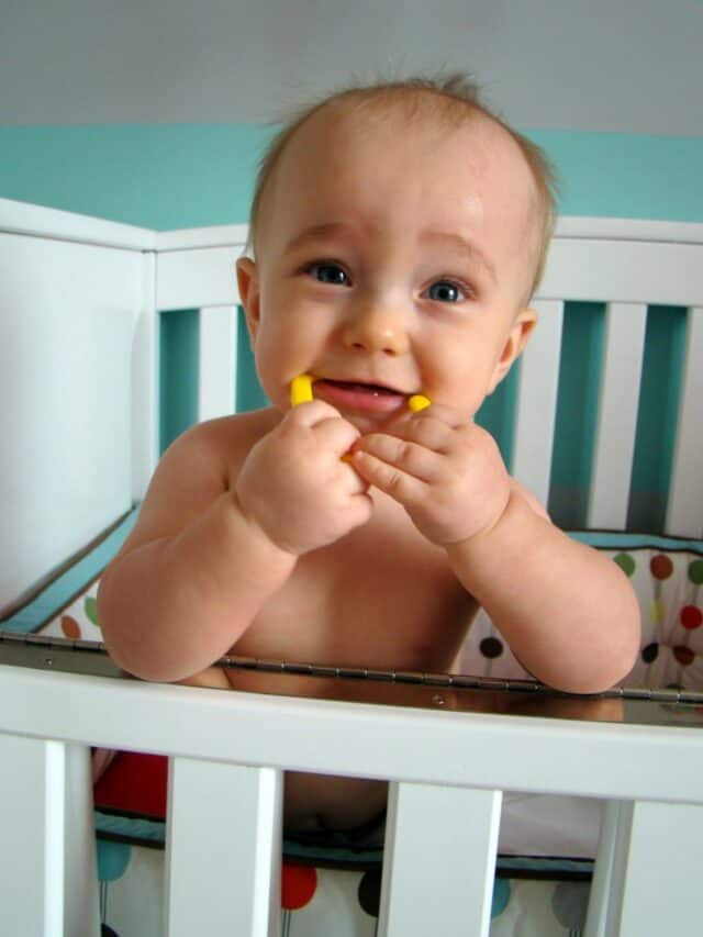 Baby Summaries and Sleep Schedules: 9-12 Months