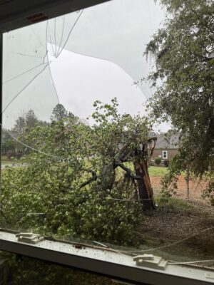 When Lightning Strikes Your House...