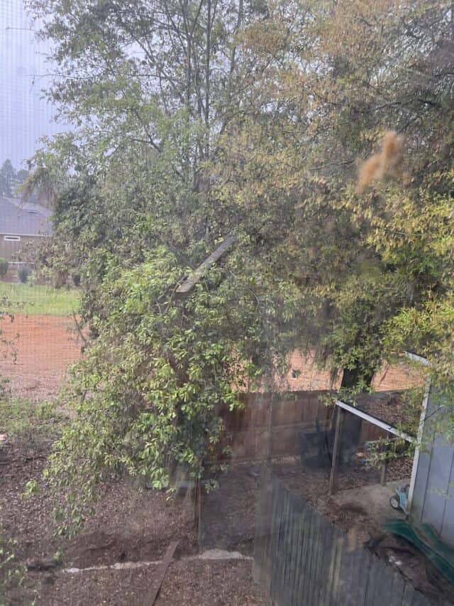 When Lightning Strikes Your House...