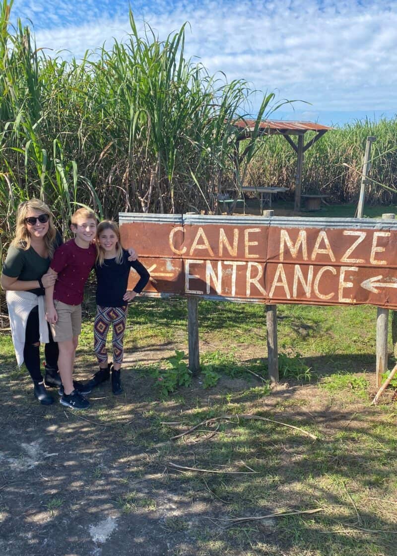 30+ Best Fall Outdoor Activities for Kids